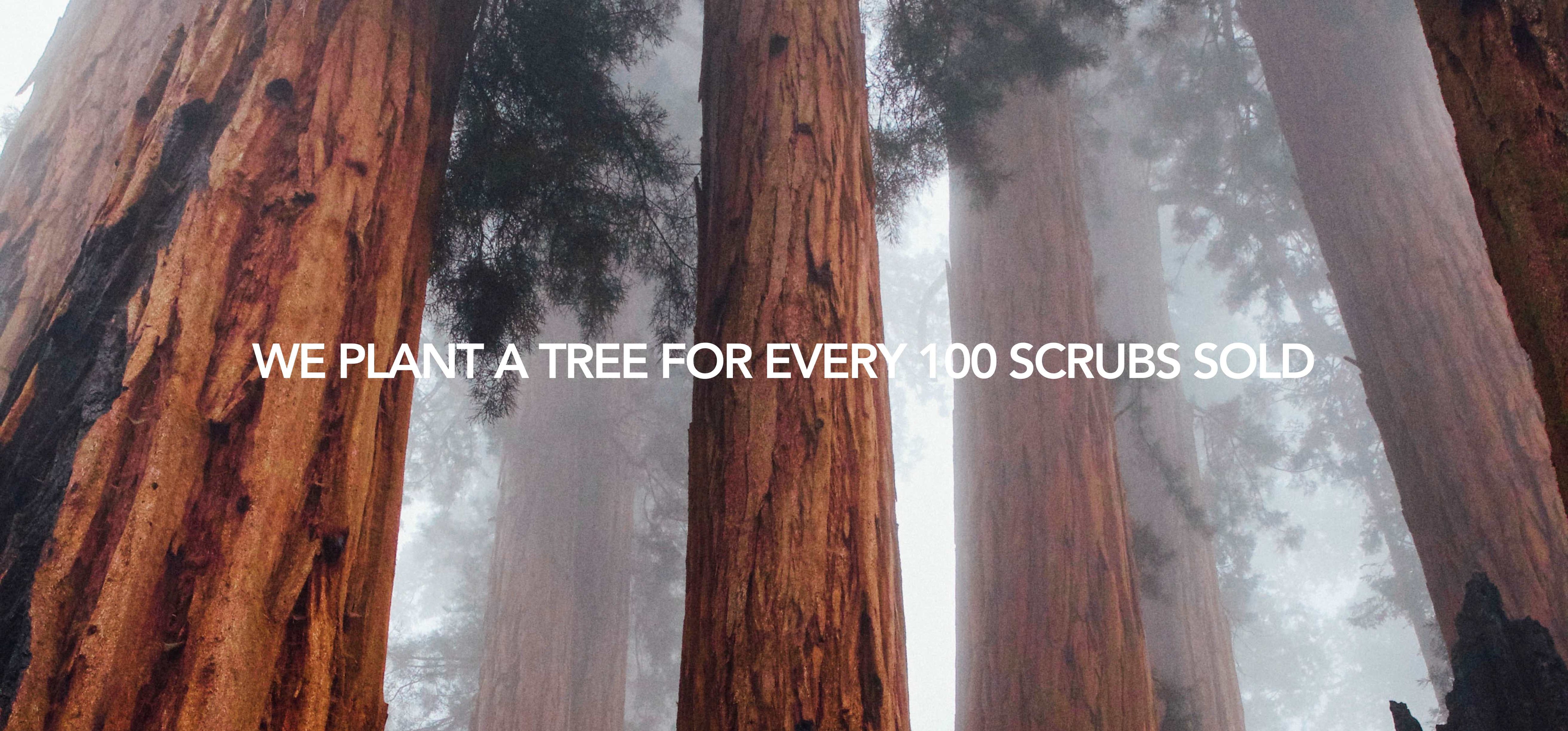 We plant a tree for every 100 scrubs sold | Greens Medi | Made in SA